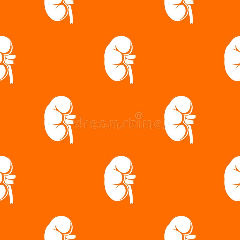 Kidney Pattern Stock Illustrations – 1,009 Kidney Pattern Stock ...