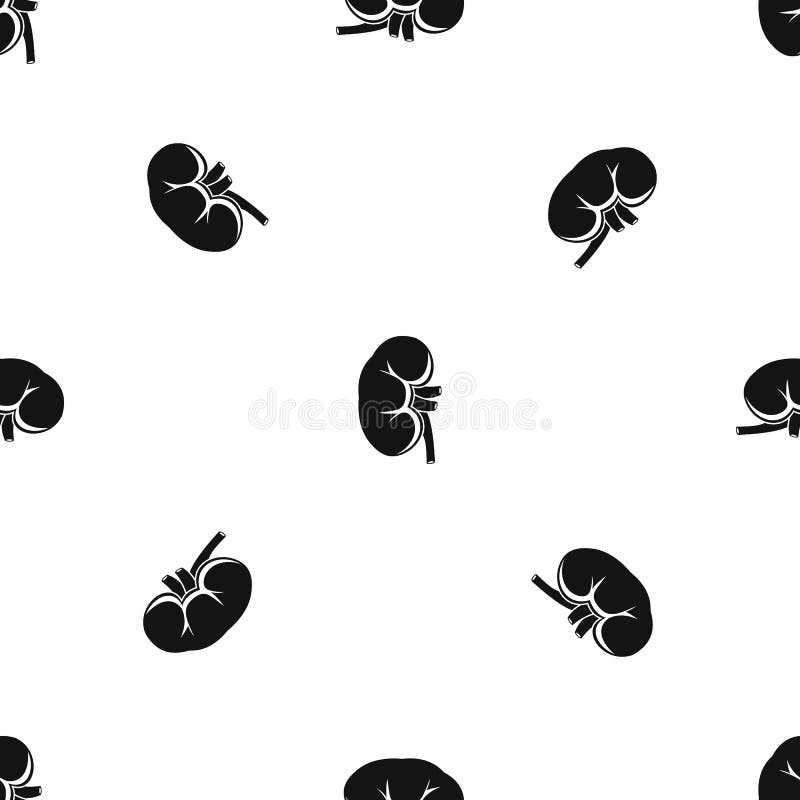Kidney pattern seamless stock vector. Illustration of science - 100086594