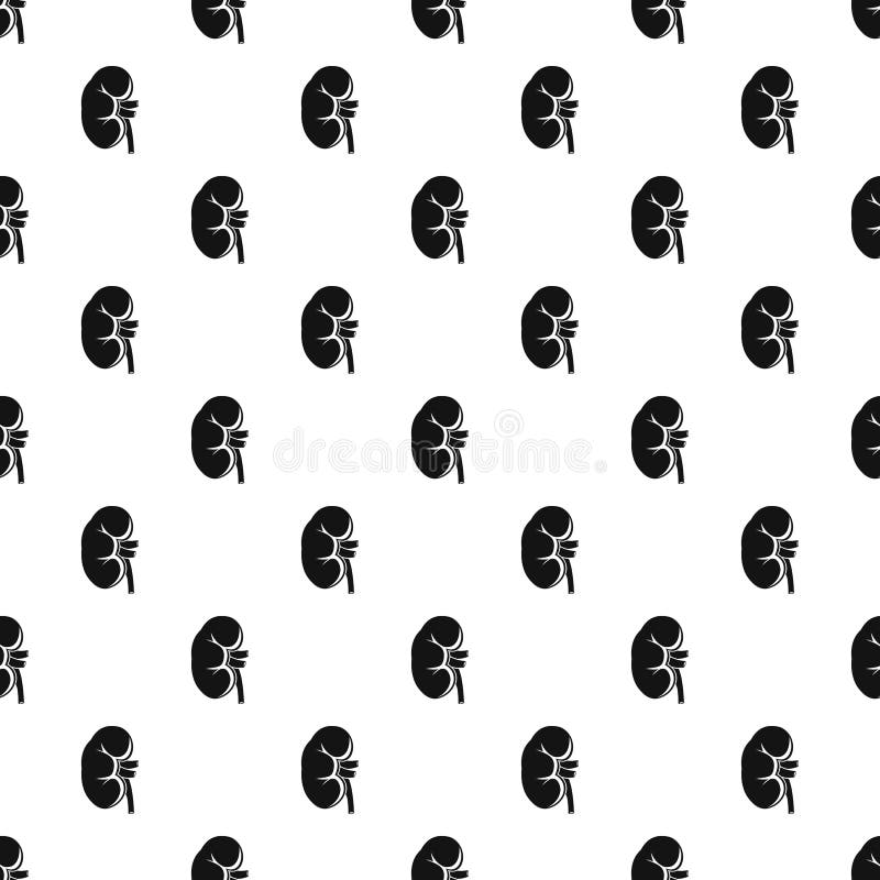 Kidney pattern vector stock vector. Illustration of medicine - 107675505