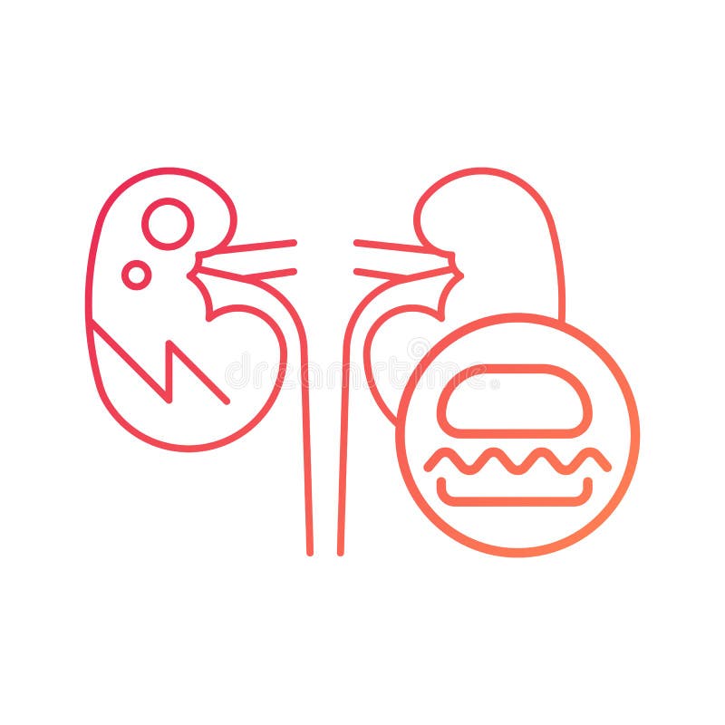 Kidney Problem, Causes, Line Gradient Icons Stock Vector - Illustration ...