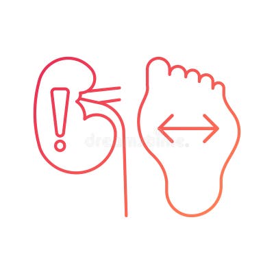 Edema Web Stock Illustrations – 111 Edema Web Stock Illustrations ...