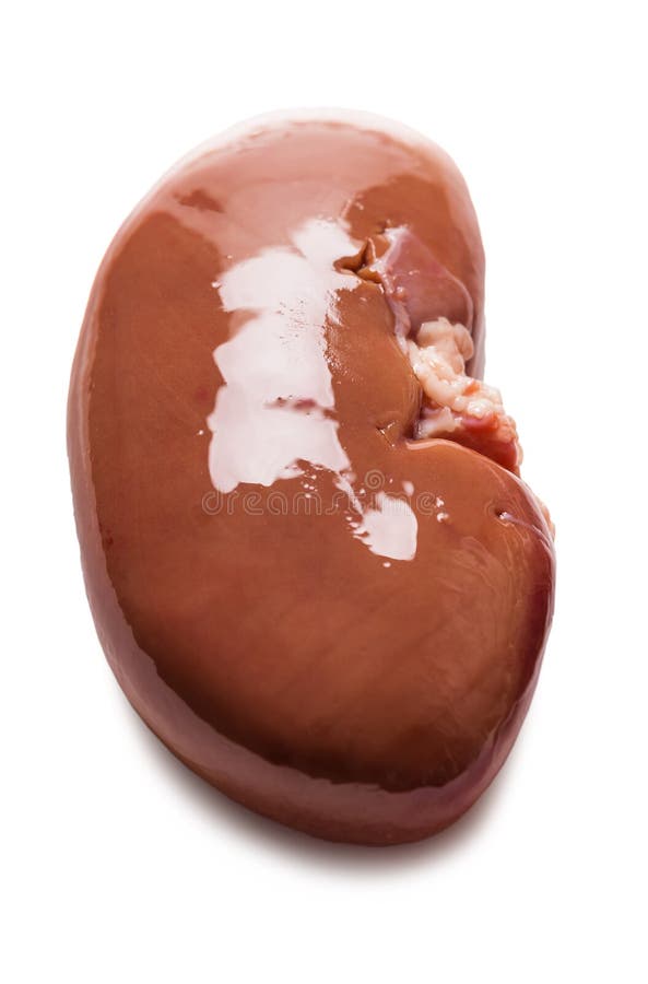 Kidney raw meat stock photo. Image of medicine, background - 52916800