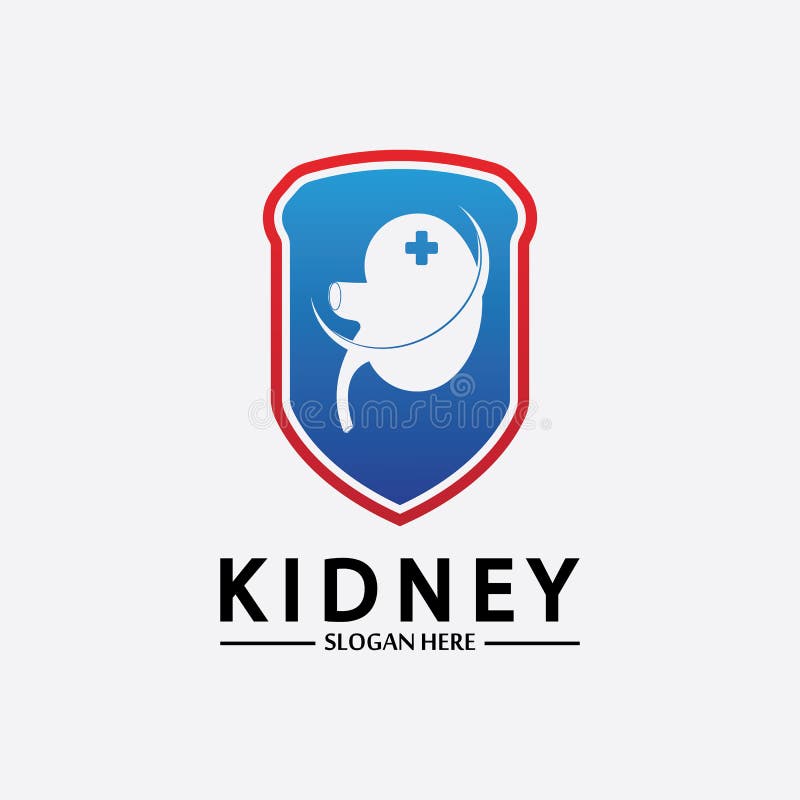 Kidney Shield Logo Template Design Vector, Emblem, Design Concept ...