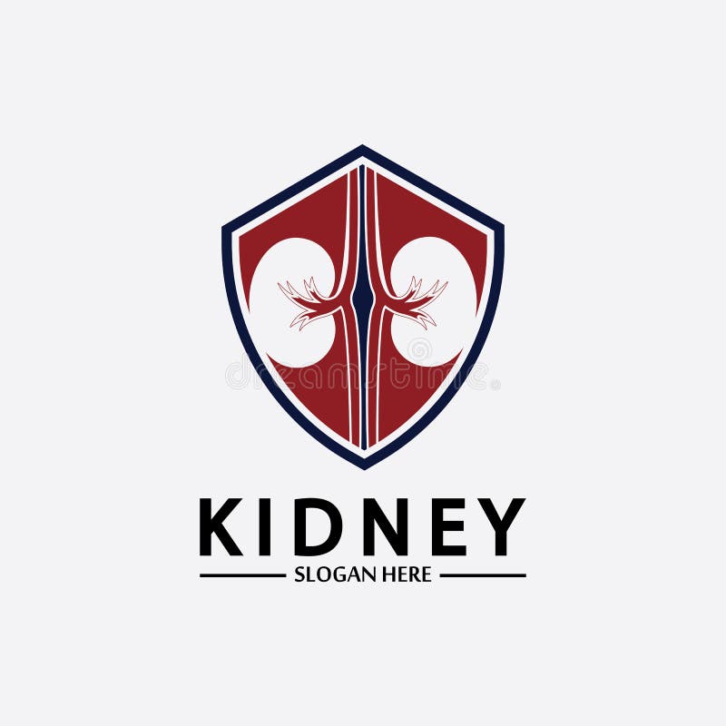 Kidney Shield Logo Template Design Vector, Emblem, Design Concept ...
