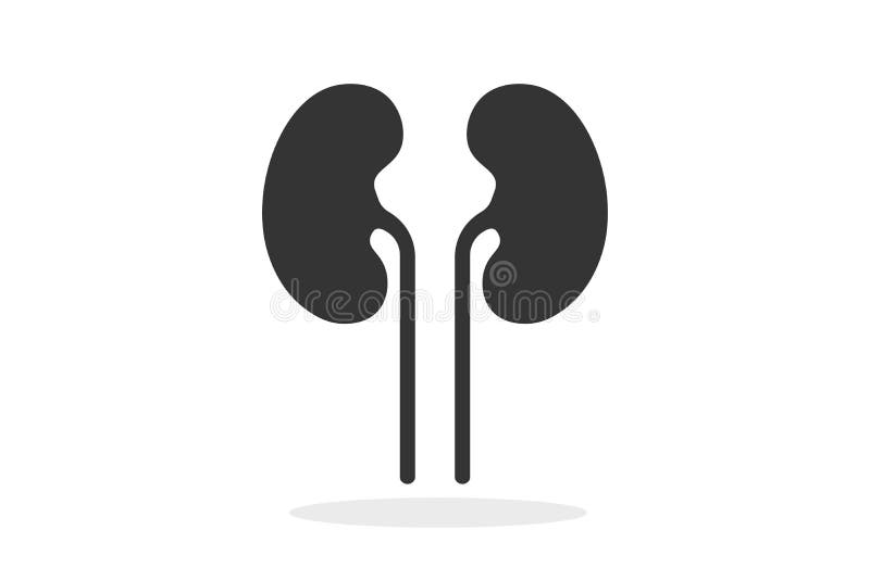 Kidney. Simple Icon. Flat Style Element for Graphic Design. Vector ...