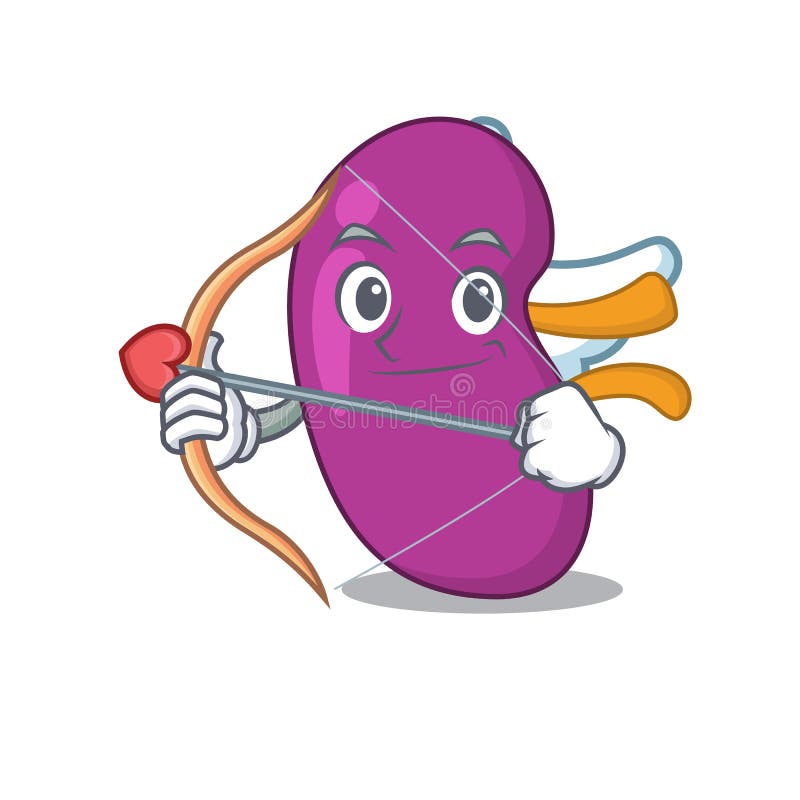 Kidney in Sweet Romantic Cupid Cartoon Drawing with Arrow Stock Vector ... Kidney in Sweet Romantic Cupid Cartoon Drawing with Arrow Stock Vector ...