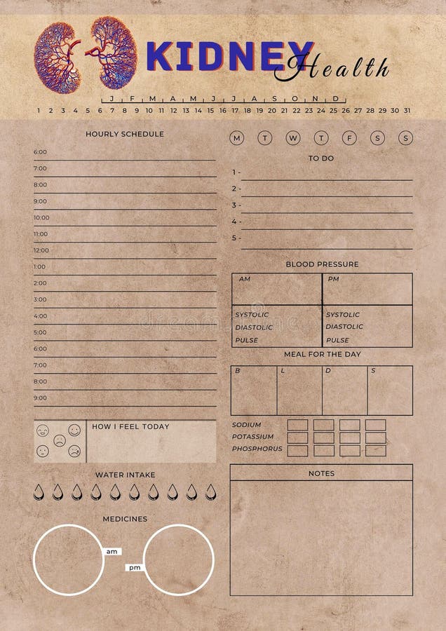 Kidney Tracker Digital Planning Insert Sheet Printable Page Template ...