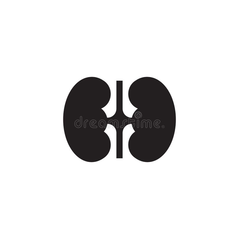 Kidney Vector Illusrtation Design Logo Template Stock Vector ...