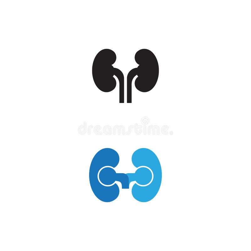 Kidney Vector Illusrtation Design Logo Template Stock Vector ...