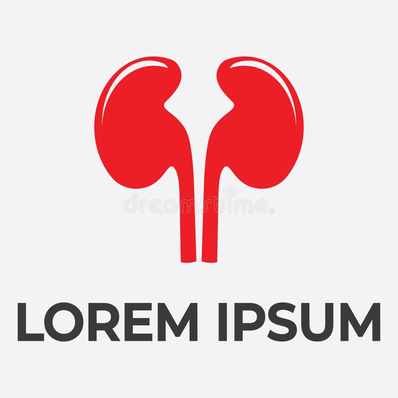 Kidney vector illusrtation stock vector. Illustration of healthy ...