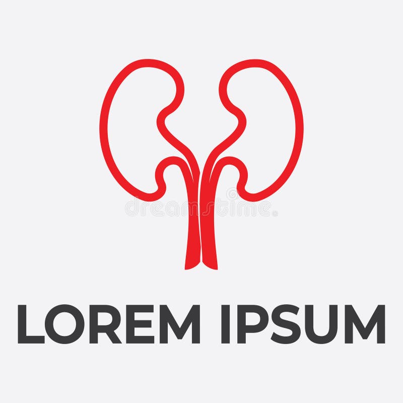 Kidney vector illusrtation stock vector. Illustration of sign - 288699611