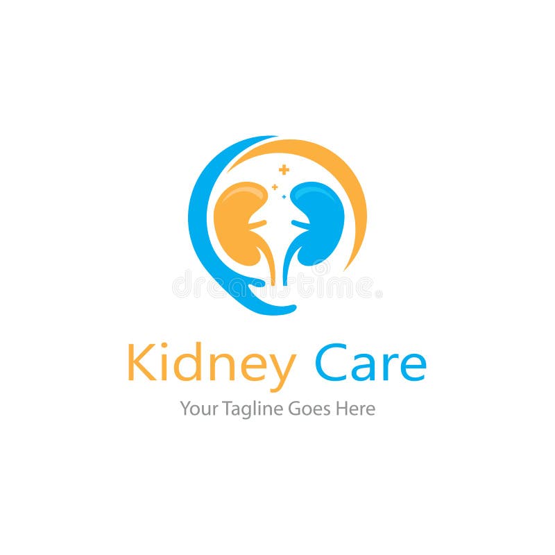 Kidney vector illusrtation stock vector. Illustration of flat - 260227335