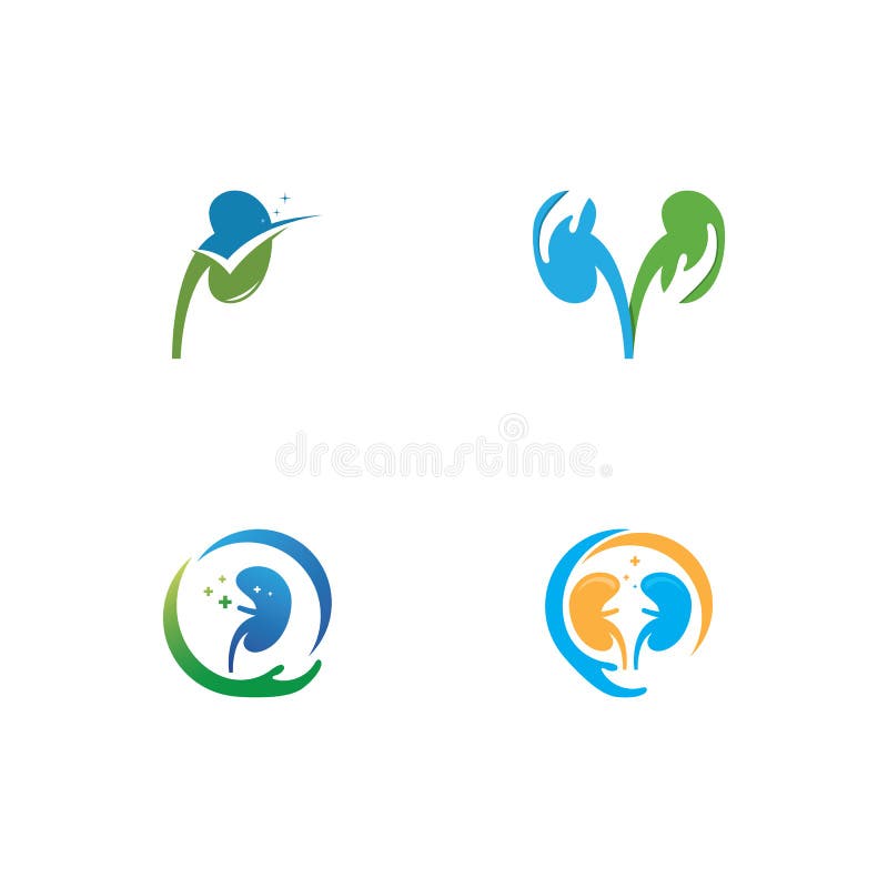 Kidney vector illusrtation stock vector. Illustration of healthy ...