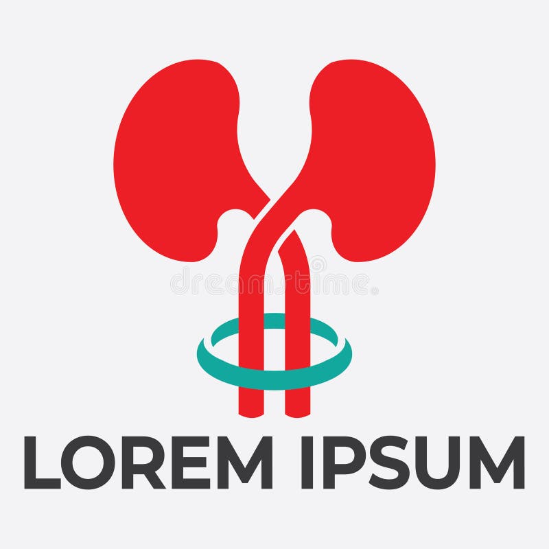 Kidney vector illusrtation stock vector. Illustration of icon - 288699552