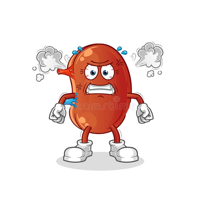 Kidney Very Angry Mascot. Cartoon Vector Stock Vector - Illustration of ...