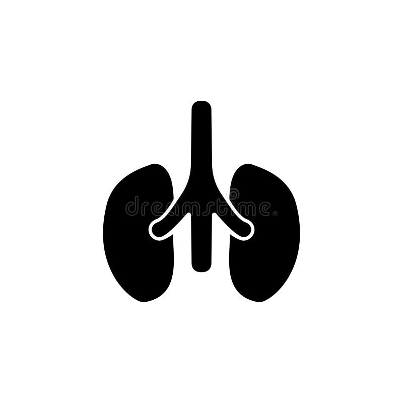 Kidneys, Human Urinary Organ, Anatomy Solid Flat Vector Icon Isolated ...