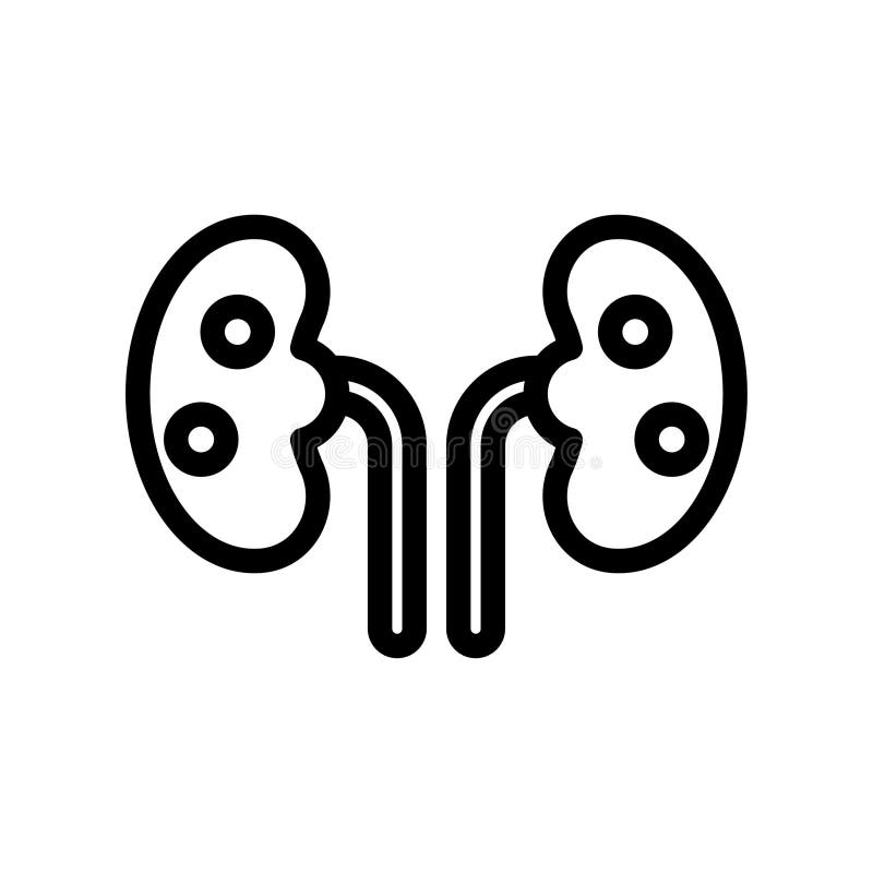 Kidneys Icon Illustration Vector Graphic Stock Vector - Illustration of ...