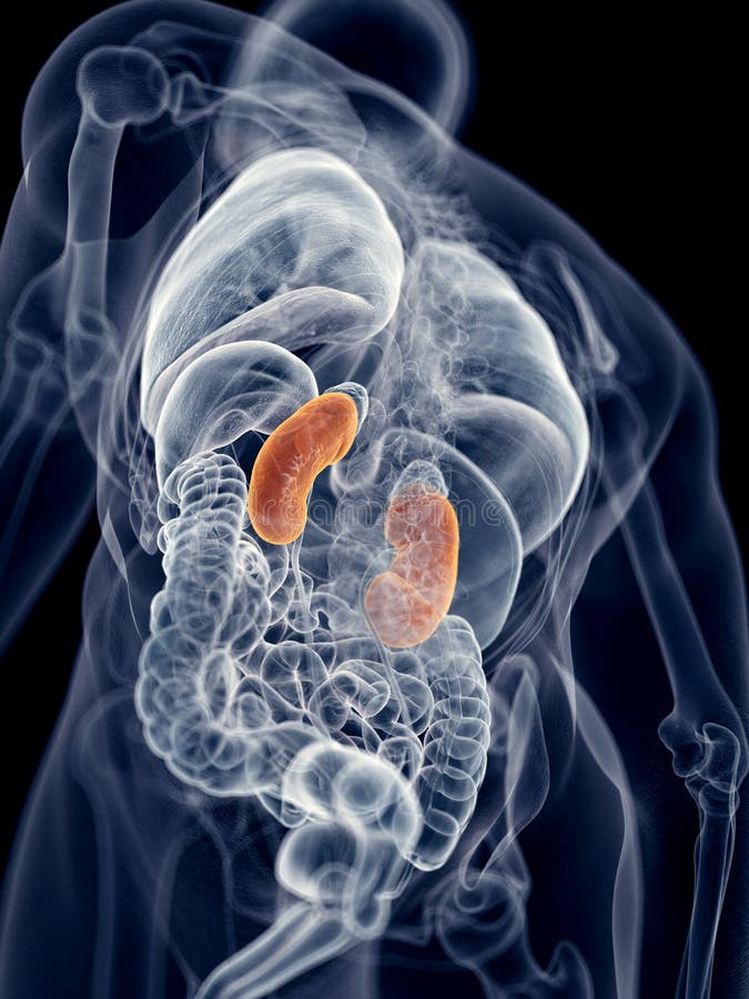 The axillary lymph nodes stock illustration. Illustration of axillary ...