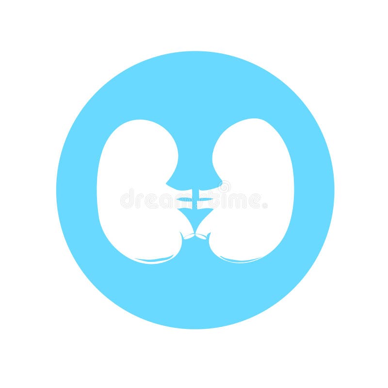 Kidneys Symbol - Illustration on Blue Circle.Logo Stock Illustration ...