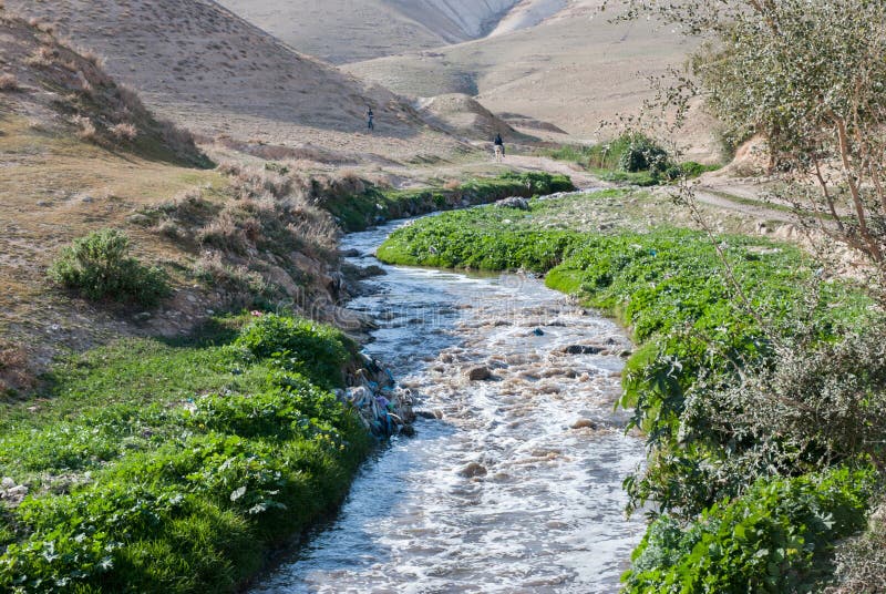 Kidron River in Judean Desert Stock Photo - Image of sahara, green ...