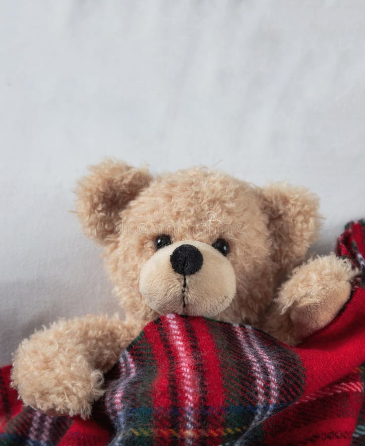 Cute Teddy Covered with a Warm Blanket, Laying in Bed Stock Photo ...