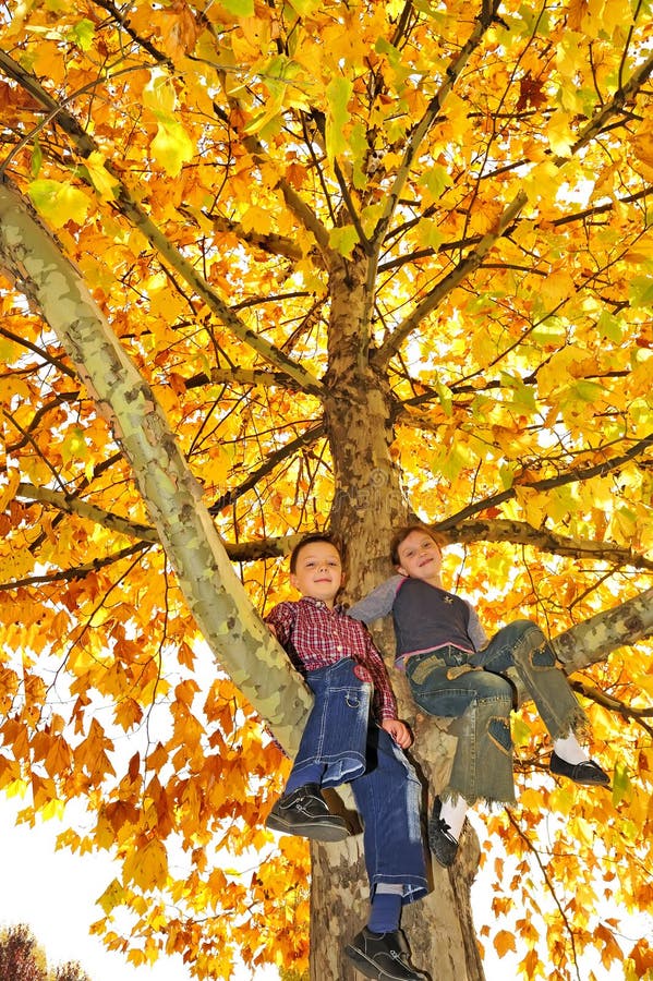 Little Kids - Girls Standing on Tree Stock Image - Image of brunette ...