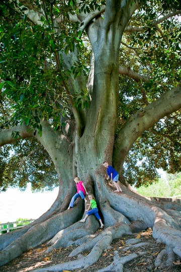 214 Barefoot Boy Climbing Stock Photos - Free & Royalty-Free Stock ...
