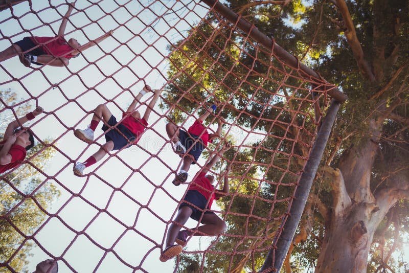 Kids Climbing a Net during Obstacle Course Training Stock Image - Image ...