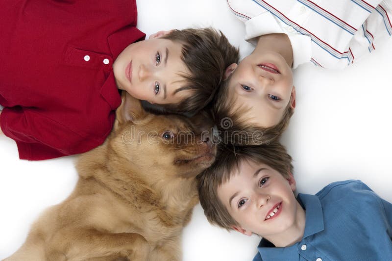 Three Boys and a Dog stock photo. Image of grass, families - 4859332