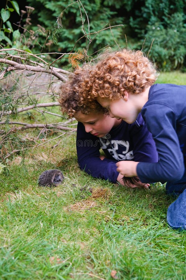 Kids Looking Around Tree in Nature Garden Stock Image - Image of ...