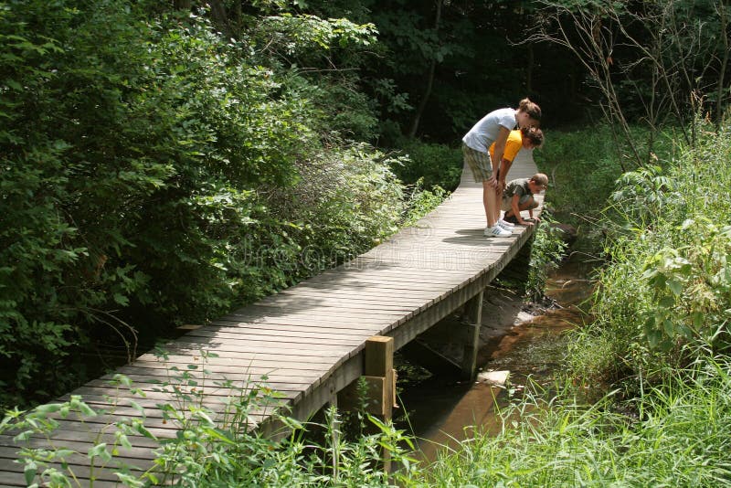 Kids Exploring Nature Trail Stock Image - Image of wetlands, sanctuary ...