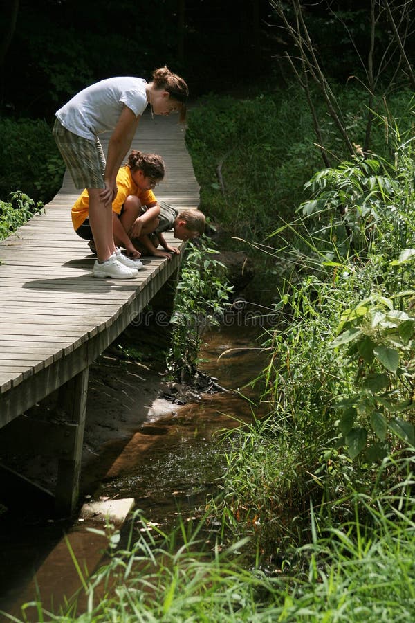 Kids Exploring Nature Trail Stock Image - Image of wetlands, sanctuary ...