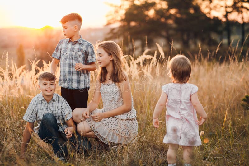 Kids in a field stock photo. Image of joyful, lifestyle - 123191248