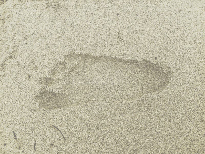 Trace in the sand stock photo. Image of trace, tractor - 144422