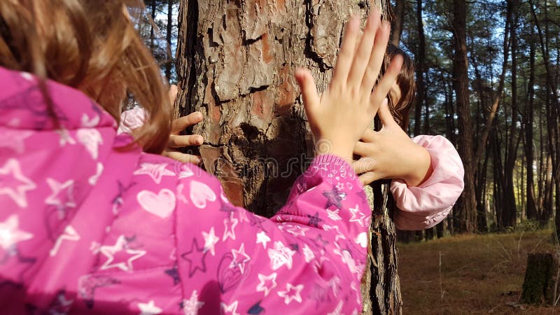 Kids Hands Hugging Tree Trunk Stock Image - Image of pine, green: 258010379