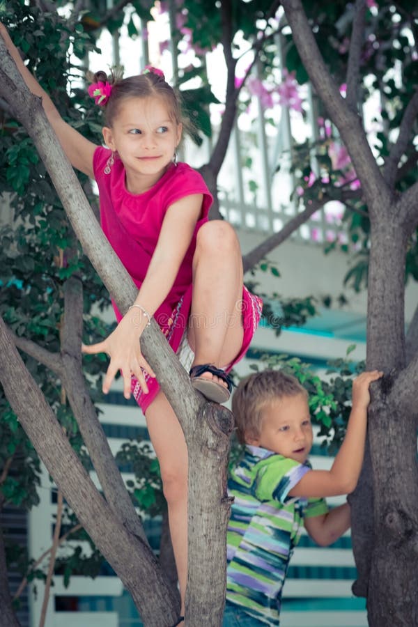 Kids having fun in a tree stock image. Image of kids - 175681425