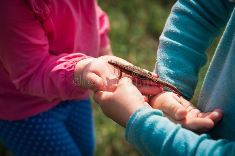 Kids Learning - Kids Holding and Exploring Lizard Stock Image - Image ...