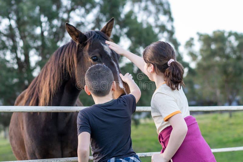 Kids Patting a Friendly Horse in Horse Paddock Stock Image - Image of ...