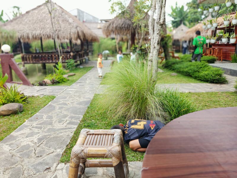 Kids play hide in backyard editorial stock image. Image of kids - 262412369