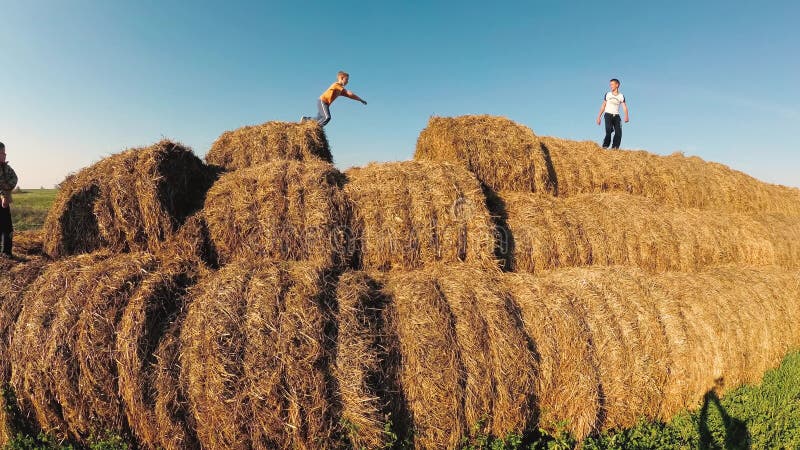 Kids Play in a Stack of Straw. Stock Video - Video of farm, healthy ...