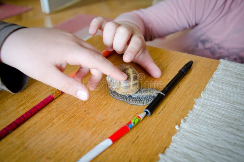 Kids Playing with Big Snail Stock Photo - Image of kids, curiosity ...