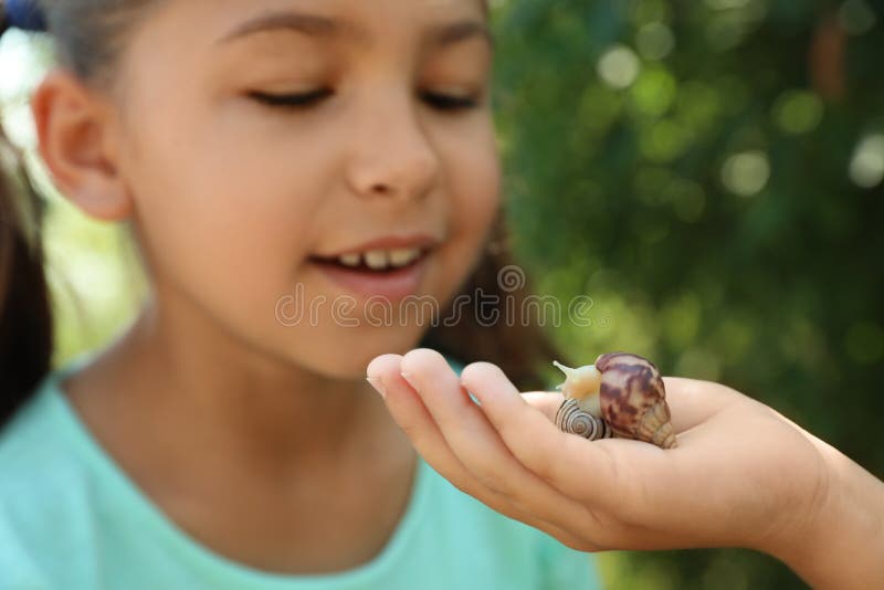 Two snails on a hand stock photo. Image of snails, slippery - 139607292
