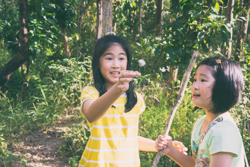 Kids playing in the forest stock photo. Image of happiness - 83916278
