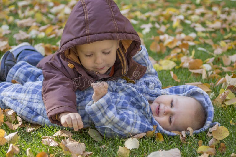 Kids playing on the grass stock photo. Image of kids - 46437742