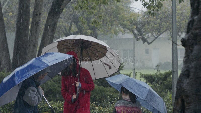 Kids in the Pouring Rain Having Fun Jumping with Umbrellas - Slow ...
