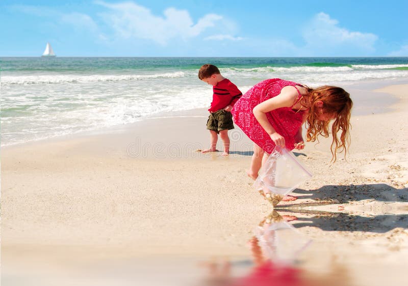 Children Collecting Seashells Stock Image - Image of thunderhead, shell ...