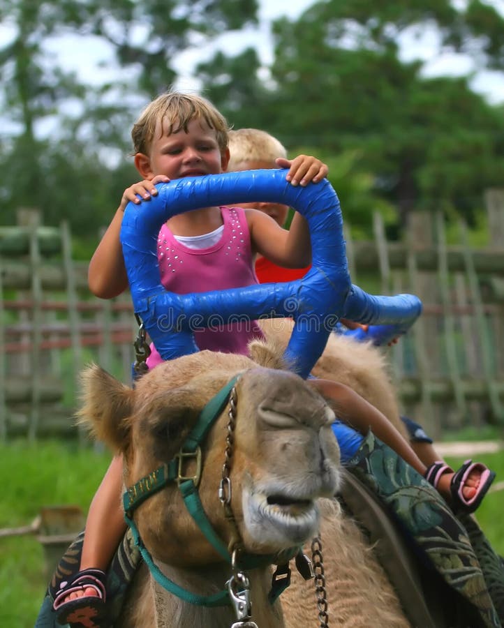 Kids riding on the camel stock photo. Image of hair, coat - 3401208