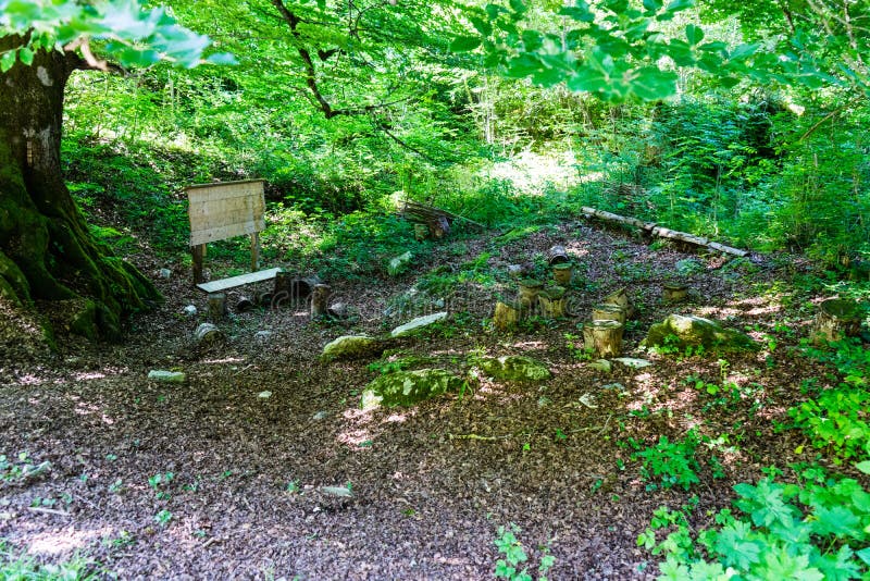Kids School Ground in Forest for Education Stock Image - Image of ...