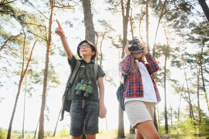 Kids scouts in the forest. stock image. Image of childhood - 255421599