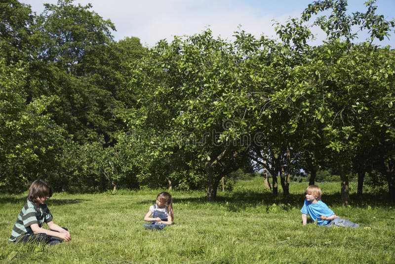 Kids Sitting on Grass Near Orchard Stock Photo - Image of enjoyment ...